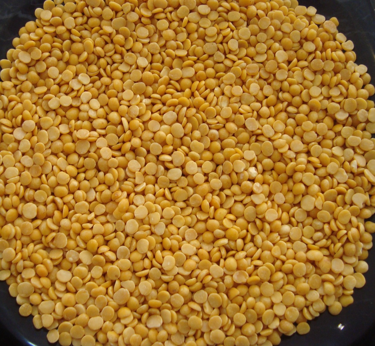 Pulses – AFRICA AND MIDDLE EAST GENERAL TRADING SHAIK GLOBAL FOODSTUFF ...